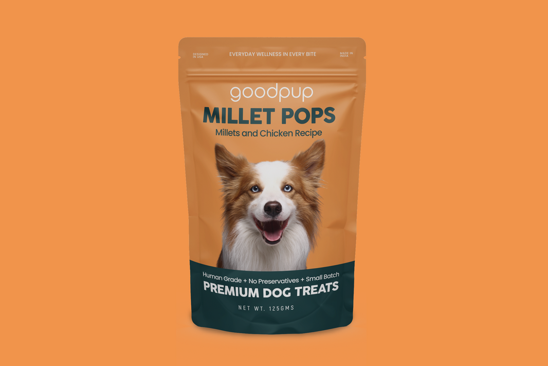 Healthy Millet Dog Treats & Food Toppers – Protein-Rich, Gluten-Free ...